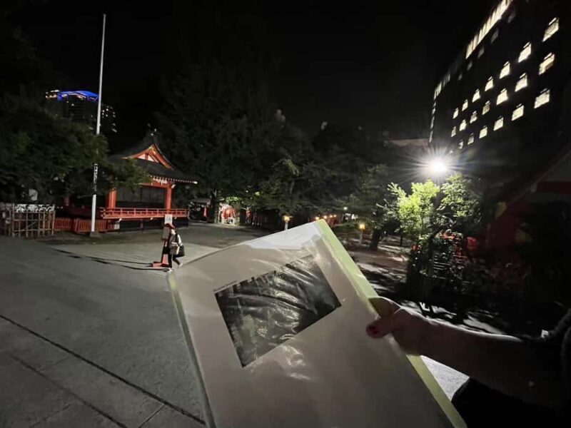 Get to know Shinjuku (nightlife optional) - Key Points