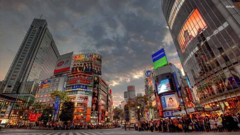 Get to know Shinjuku (nightlife optional) - Starting Point and Convenience