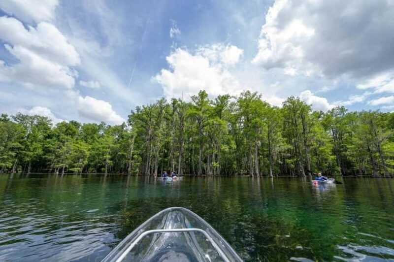 Get Up And Go Kayaking Clear Kayak Eco Adventure - Key Points