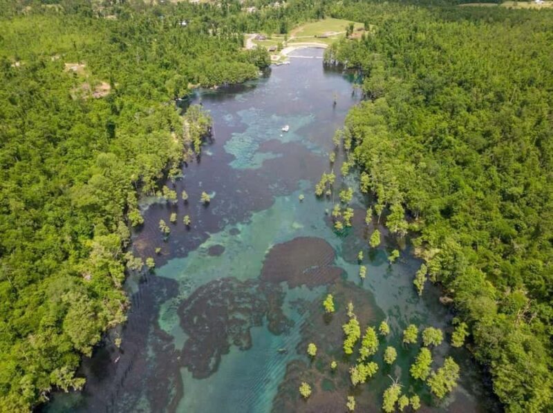 Get Up And Go Kayaking Clear Kayak Eco Adventure - An In-Depth Look at the Experience