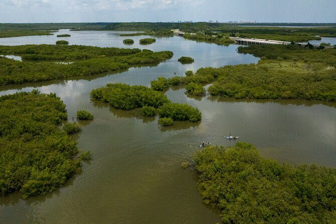 Get Up And Go Kayaking - New Smyrna Beach - How reviews back up the experience