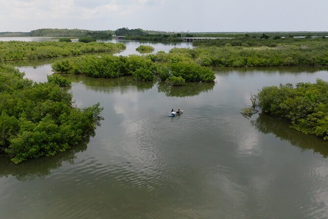 Get Up And Go Kayaking - New Smyrna Beach - Who should consider this tour?