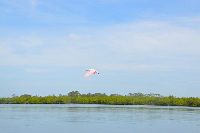 Get Up And Go Kayaking - New Smyrna Beach - The Sum Up