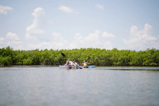 Get Up And Go Kayaking - New Smyrna Beach - FAQ