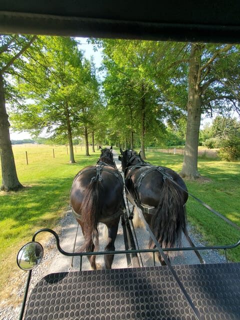 Gettysburg: Horse-Drawn Carriage Tour Countryside & Orchards - The Itinerary and Experience Breakdown
