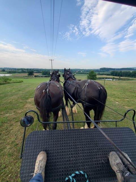 Gettysburg: Horse-Drawn Carriage Tour Countryside & Orchards - The Personal Touch: Feeding and Meeting Horses
