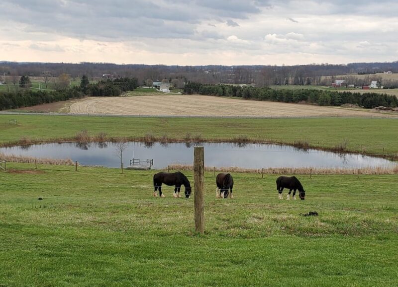 Gettysburg: Horse-Drawn Carriage Tour Countryside & Orchards - Introduction: A gentle glimpse into Adams County’s countryside