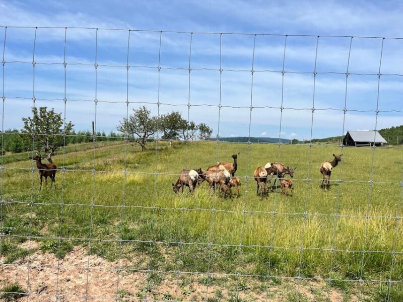 Gettysburg: Horse-Drawn Carriage Tour Countryside & Orchards - Key Points