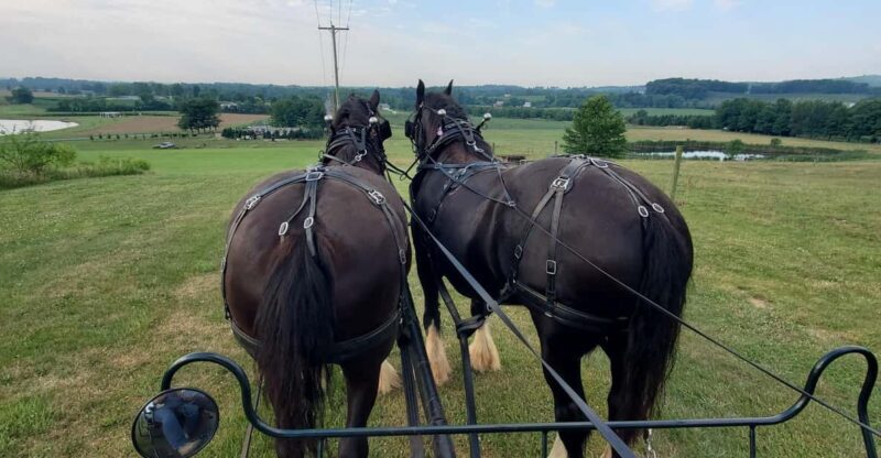 Gettysburg: Horse-Drawn Carriage Tour Countryside & Orchards - The Itinerary in Detail