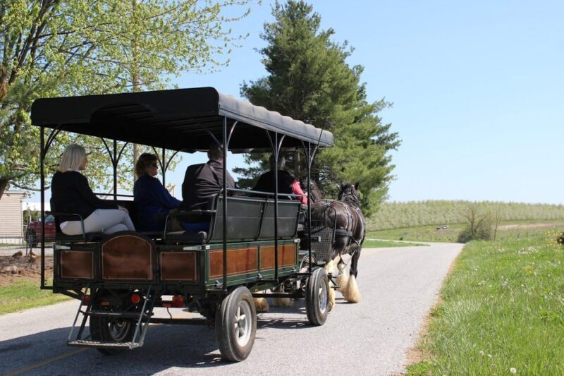 Gettysburg: Horse-Drawn Carriage Tour Countryside & Orchards - The Sum Up: A peaceful taste of Adams County’s rural charm