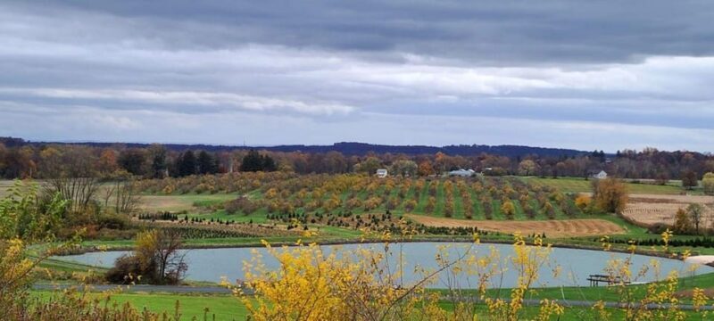 Gettysburg: Horse-Drawn Carriage Tour Countryside & Orchards - FAQ