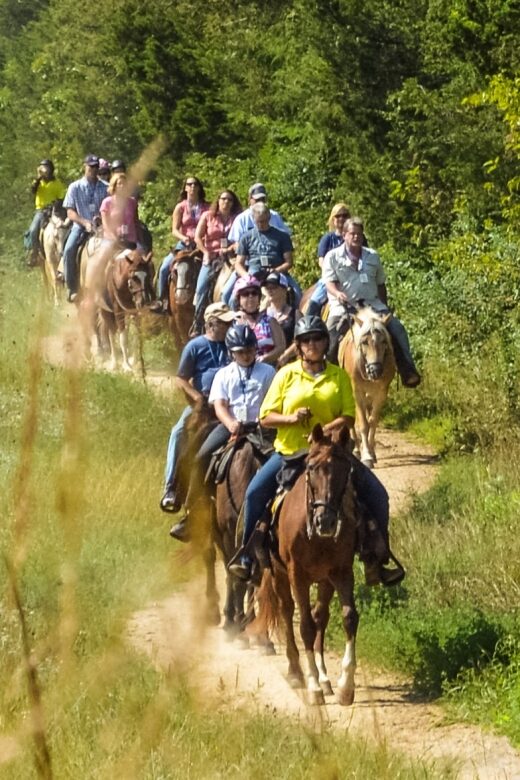 Gettysburg: Licensed Guided Battlefield Horseback Tour - What to Expect from the Gettysburg Horseback Tour