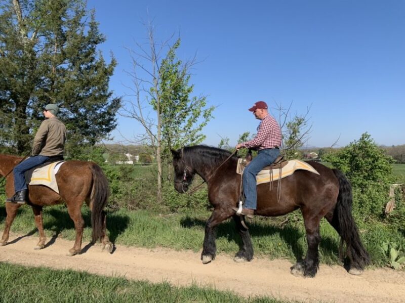 Gettysburg: Licensed Guided Battlefield Horseback Tour - Authenticity and the Learning Experience