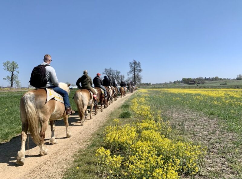 Gettysburg: Licensed Guided Battlefield Horseback Tour - Who Will Love This Tour?