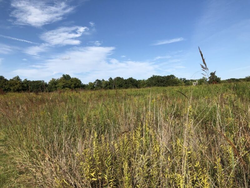 Gettysburg: The Wonder Women's Hidden Valor Walking Tour - Introduction