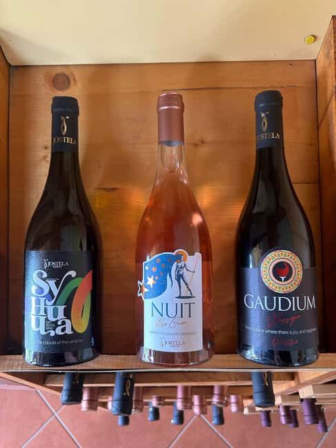 Gevgelija: Jostela Winery Wine Tasting Tour - Final Thoughts