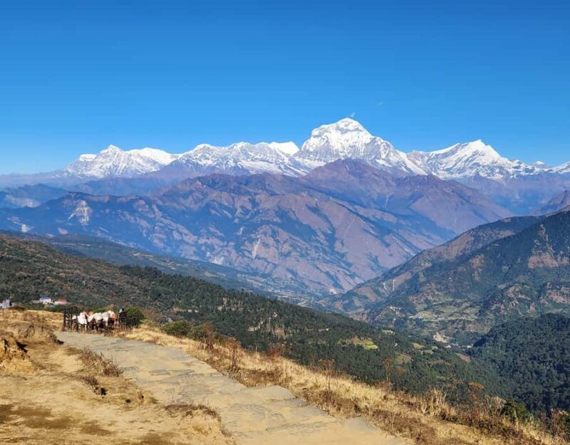 Ghorepani Poon Hill & Mardi Himal Trek - Who Should Consider This Trek?