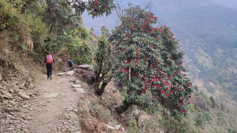 Ghorepani Poon Hill Trek - 4 Days (Full Package) - Frequently Asked Questions