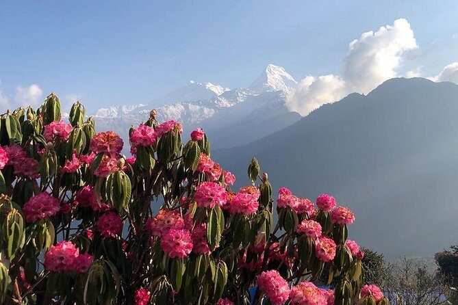 Ghorepani Poon Hill Trek - Starting Point: Kathmandu to Pokhara