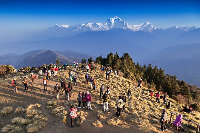Ghorepani - Poon Hill Trek  5 DAYS - The Detailed Breakdown of the Trek