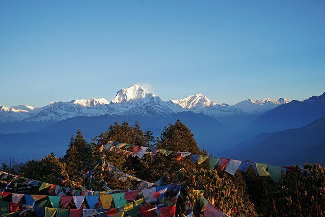 Ghorepani Poon Hill Trek - What Makes This Trek Stand Out?