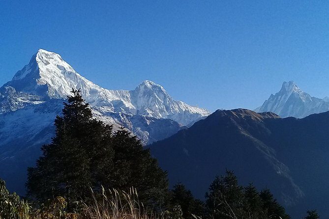 Ghorepani Poon Hill Trek: a classic trek in Nepal - The Experience of a Lifetime?