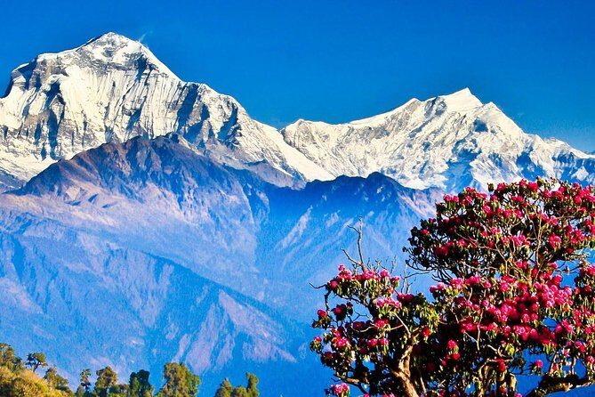 Ghorepani Poon Hill Trek - A Detailed Look at the Ghorepani Poon Hill Trek