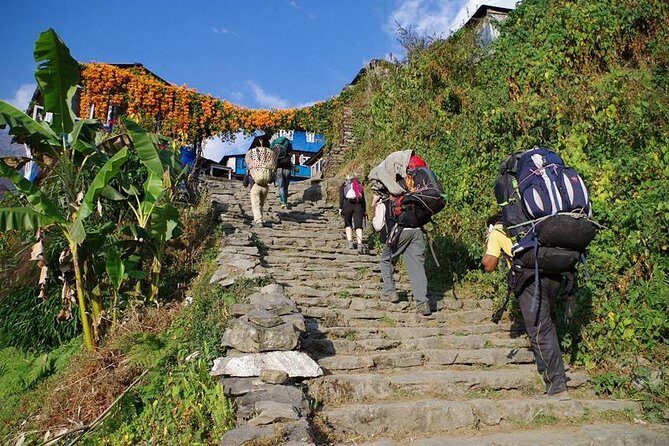 Ghorepani Poon Hill Trekking - A Closer Look at the Itinerary