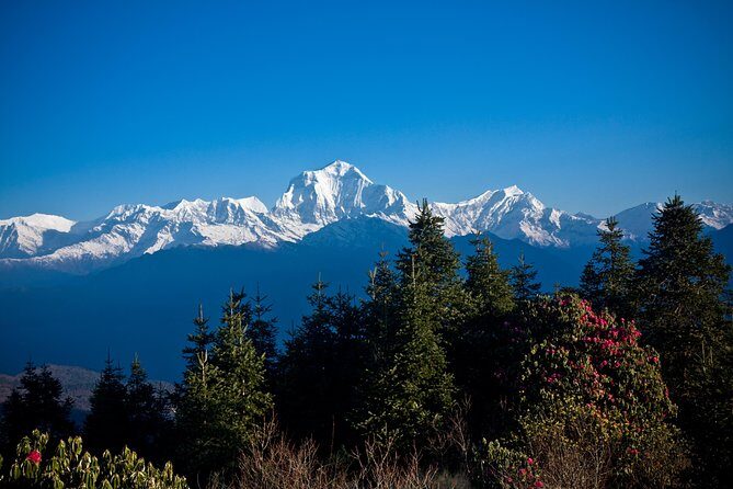 Ghorepani - Poon Hill yoga Trek - 10 Days - FAQs