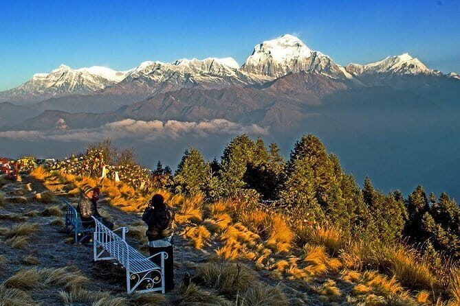 Ghorepani Poonhill Trek - Introduction