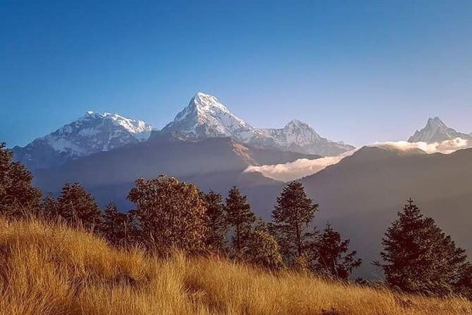 Ghorepani Poonhill Trek - The Practicalities and Value