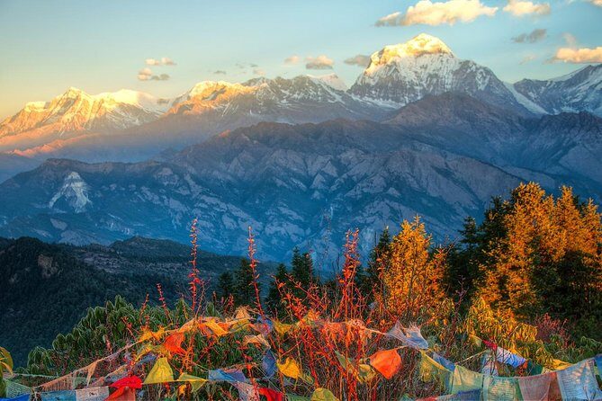 Ghorepani Poonhill Trek 5 Days from Pokhara - Why This Trek Is Worth It