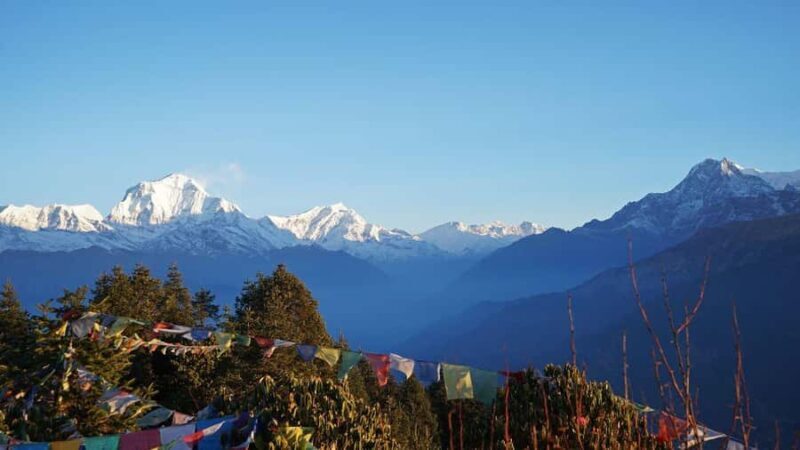 Ghorepani Poonhill Trek 8 Days - Introduction: Why This Trek Might Be Just Right for You