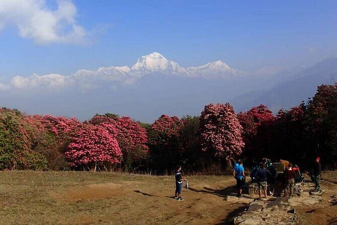 Ghorepani Poonhill Trek from Kathmandu | Best Short Trek in Nepal - FAQ