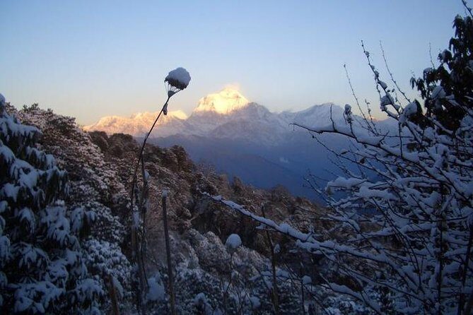 Ghorepani Poonhill Trekking - 9 Days - FAQ