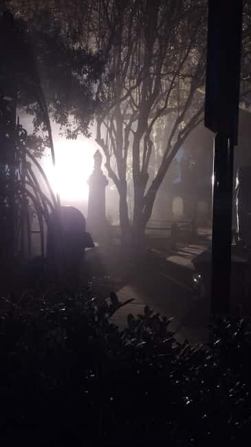 Ghost Tour - Charleston Dark History & Ghost Tour With Adam - Comparing with Other Tours