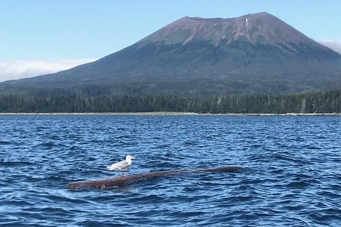 Ghosts of Historic Sitka - Walking Tour - Exploring Sitka’s Haunted Side: What to Expect