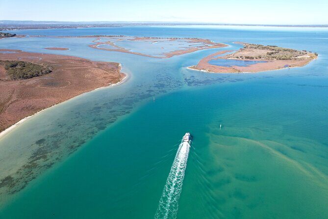 Giant and Dolphin Sightseeing Cruise in Mandurah - An In-Depth Look at the Experience