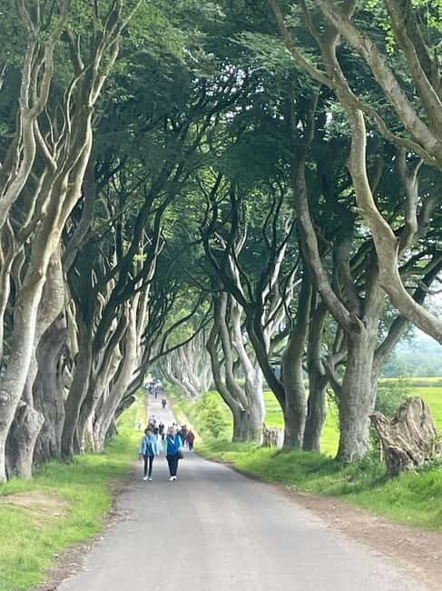 Giants Causeway 4 Hour Private Tour - The Belfast Return and City Exploration