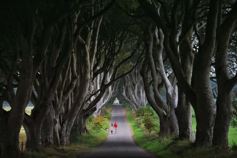 Giants causeway Irish castles & whiskey, Game of thrones - Who Should Consider This Tour?