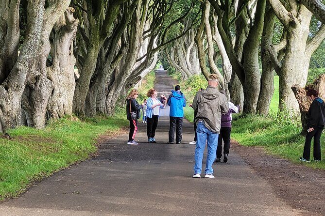 Giants causeway private tour 1 to 7 people - The Enchanting Dark Hedges