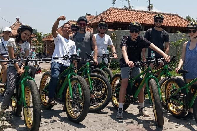 Gianyar Waterfall eBike Private Tour - Key Points