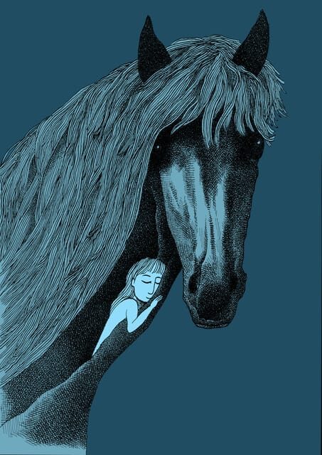 Giara Horse Museum Entry Ticket - Why You Should Visit the Giara Horse Museum