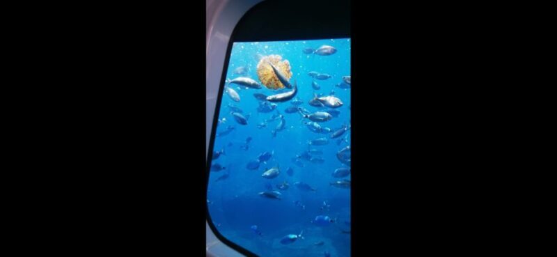 Giardini Naxos: Semi-Submarine Tour to Isola Bella - Key Points