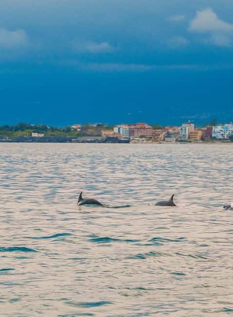 Giardini Naxos Taormina: Dolphin Watching Sunset Tour - Key Points