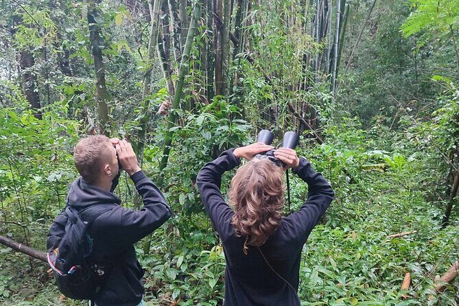 Gibbon Conservation and Cultural 2-Days Adventure - Final Thoughts