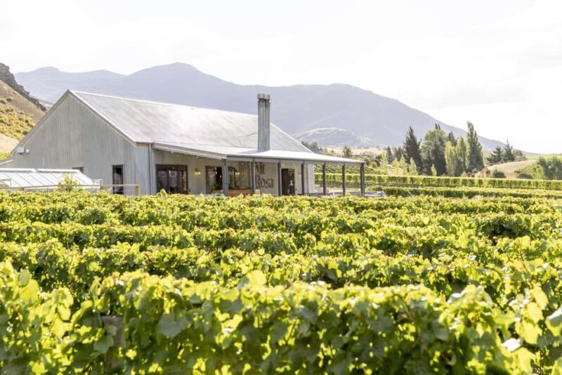 Gibbston: Mt Rosa Wine Tasting Experience - A closer look at the Mt Rosa Wine Tasting Experience