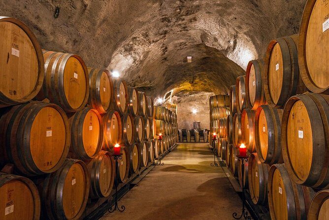 Gibbston Valley Wines - Winery Tour - A Closer Look at the Experience