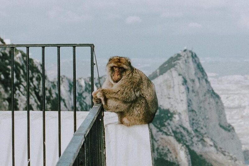 Gibraltar Day Trip from Seville - Who Should Consider This Tour?