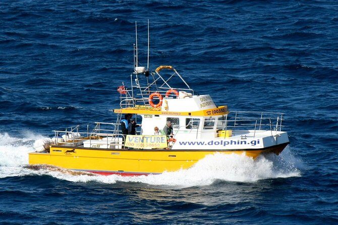 Gibraltar Dolphin Adventure - The Sum Up